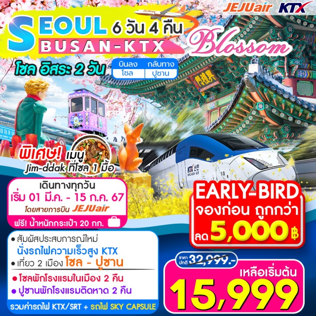 ทัวร์เกาหลี KTX Seoul-Busan Blossom BY 7C | | UNITHAI Trip